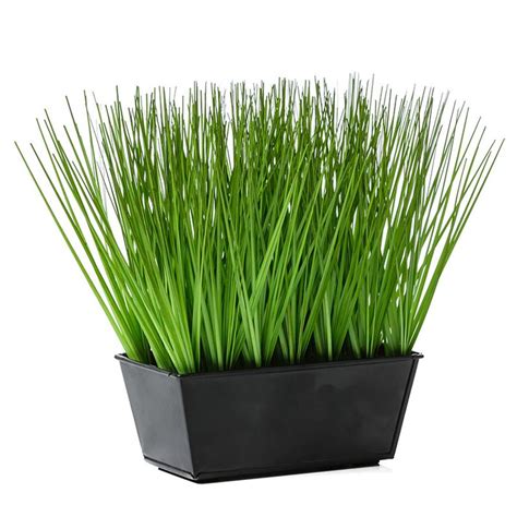 Savannah Green Rectangle Grass Adairs
