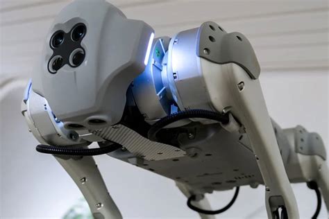 Ses Quadruped Robots Allegheny Educational Systems