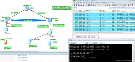 Ensp Vxlan实验ensp V800r013c00 Csdn博客
