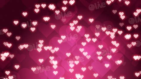하트 파티클 핑크색 배경영상 Mp4 올리브크레아 Olivecrea