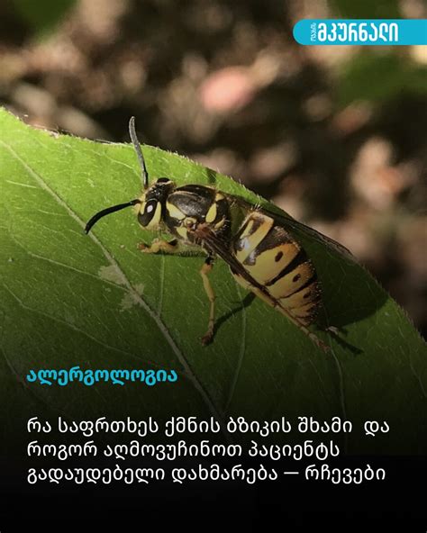 ბზიკის ნაკბენი ზოგიერთი Mkurnali Ge • მკურნალი Facebook