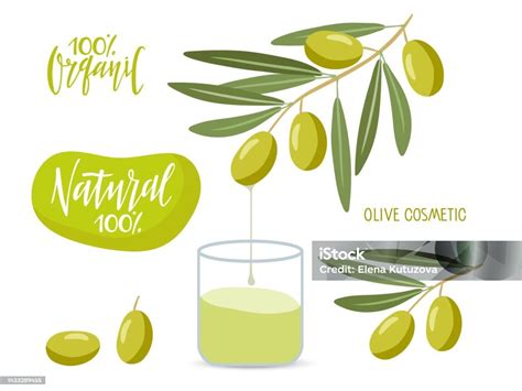 올리브 오일 유리 올리브 가지 라벨 과일과 녹색 가지 지중해 또는 비건 채식을위한 야채 유기농 화장품 광고 포장 흰색 배경에 고립 된 평면 디자인 건강한 식생활에 대한 스톡