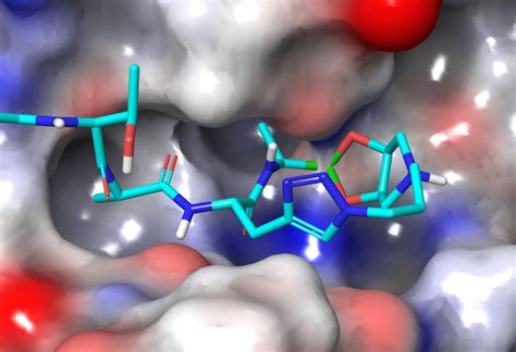 boronic ester linked macrocycles as warheads against serine proteases