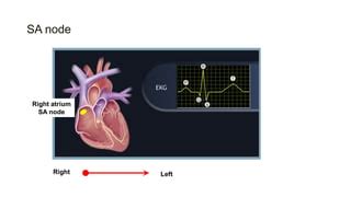Ecg Made Easy Pdf