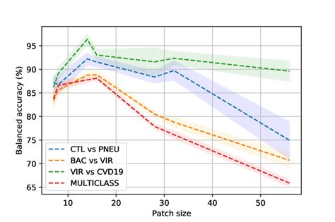 Influence Of The Patch Size In The Classification Performance For The
