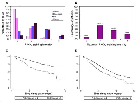 Analysis of PKC ζ expression with respect to tissue distribution and Download Scientific