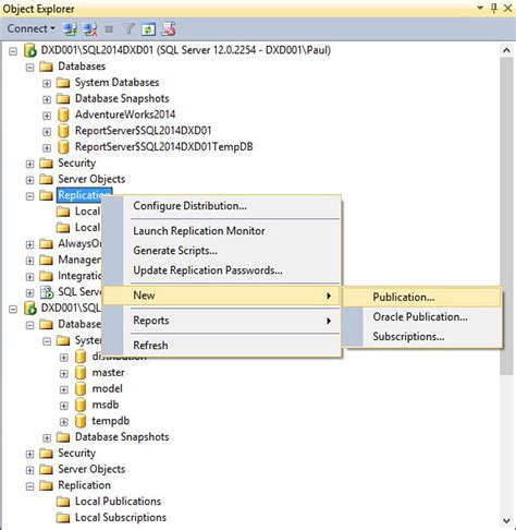 creating a publication microsoft sql server 2014 unleashed [book]