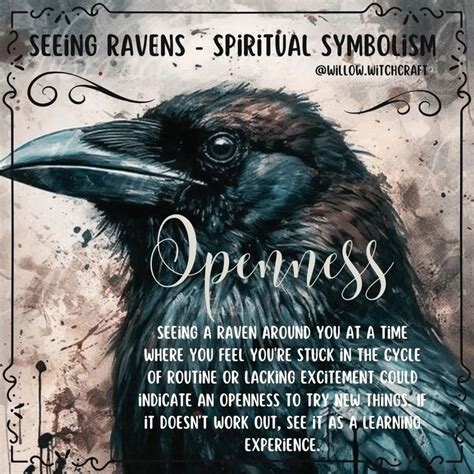 Ravens Spiritual Symbolism Of Openness