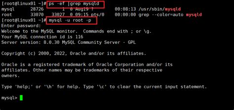 Mysql创建用户，并授予权限 Mrzxs 博客园