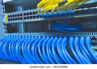 Network Cables Connected Patch Panel Network Stock Photo Shutterstock