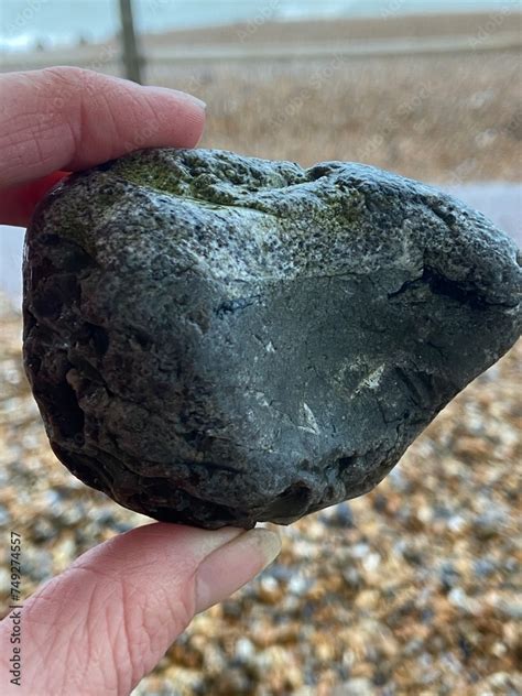 Ambergris Whale Vomit Used In Perfume Making It Is Made By Sperm Whale