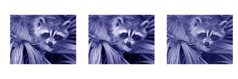 Image Processing With SciPy And NumPy In Python DataFlair