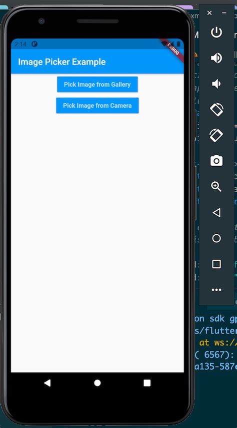 Building An Image Picker In Flutter IoDroplet