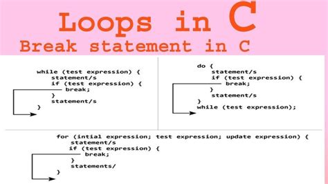 Loop In C Lecture Part Programming Tutorials Programming Tutorial Loop Videos Tutorial