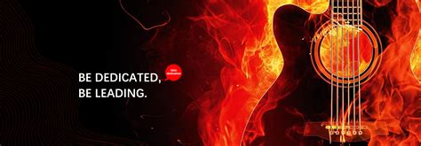 Premium Strings Of Choice ALICE STRINGS