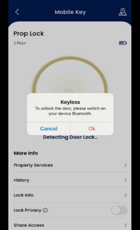 how to unlock from keyless app keyless