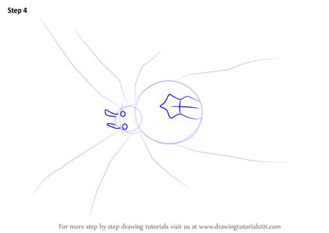 How To Draw A Redback Spider Arachnids Step By Step