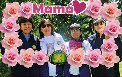 Universidad Nacional Del Centro Del Perú Sitio Oficial