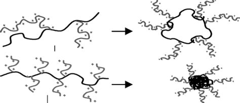 Novel Amphiphilic Polyε Caprolactone G Polyl Lysine Degradable Copolymers Biomacromolecules