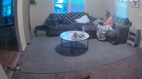 Housesitter Masturbate