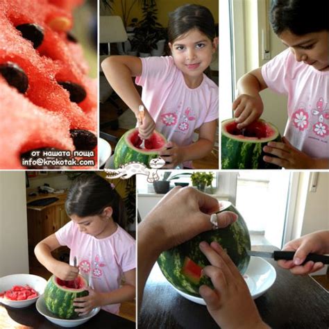 крокотак ДИНЕН ФЕНЕР