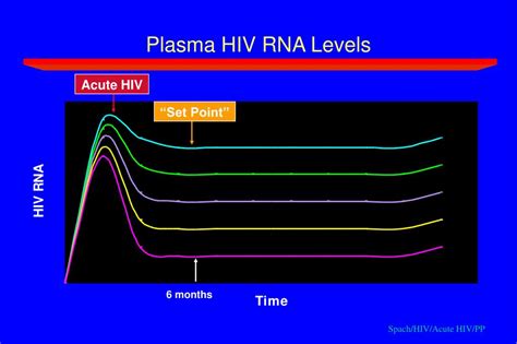 Ppt Spachhivacute Hivpp Powerpoint Presentation Free Download Id2712524