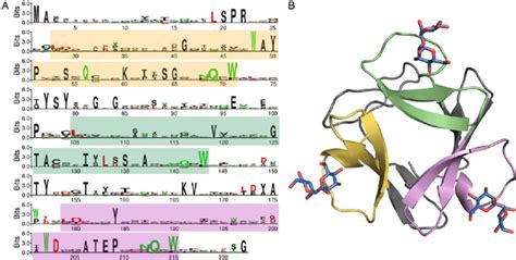 Identification And Analysis Of The Ricin B Like Fold Of Eel A Logo Download Scientific