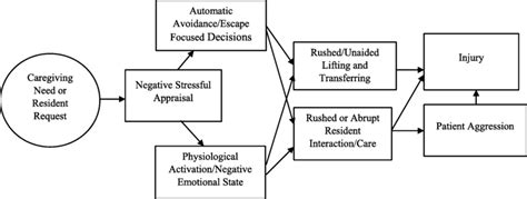 Functional Analytic Model Of Nursing Aide Risk For Injury Download