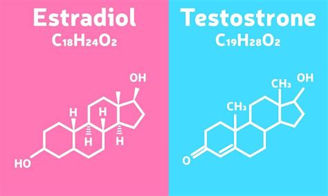 Premium Vector Chemical Formula Estradiol And Testosterone Man And