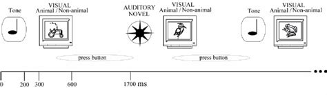 A Schematic Illustration Of The Auditory Visual Distraction Paradigm Download Scientific