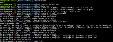 The Example `runc Spec` File Does Not Work With Ubuntu `apt Update