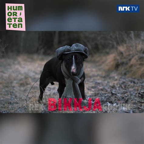 Hva Med Litt Spennende Krigsdrama Denne Helgen Se Humoretaten I Nrk Tv Tvnrkno
