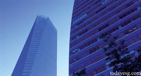 Iosco Calls On Countries To Adopt Issb Sustainability Standards Esg Information Website