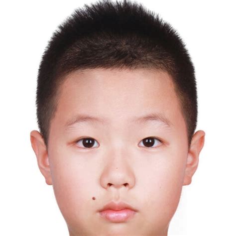 Yan Hu Lingnan University Hong Kong Centre For Humanities Research