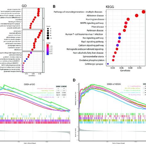Gene Enrichment Analysis A B Bubble Plot Showing Gene Enrichment Download Scientific Diagram