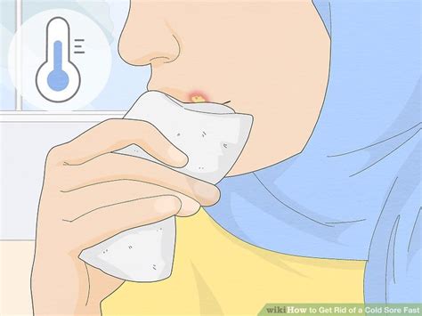 Ways To Get Rid Of A Cold Sore Fast WikiHow Ways To Get Rid Of A Cold Sore Fast WikiHow