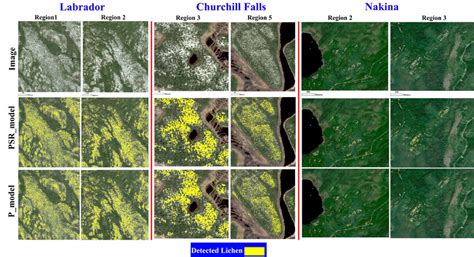 Two Samples Of Lichen Classification Maps Generated For Each Test Area Download Scientific