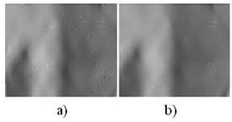 Figure 2 From Sonar Image Denoising Using A Bayesian Approach In The