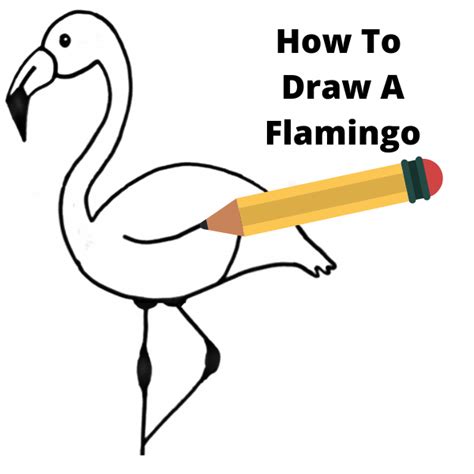 How To Draw A Toucan Easy Step By Step Drawing Tutorial