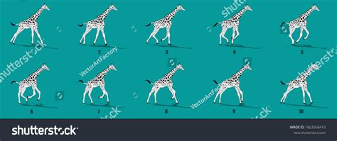 giraffe run cycle animation frames loop stock vector royalty free