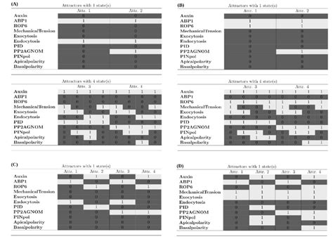 Boolean Attractors For Mutant Conditions A Rop6 Loss Offunction B Download Scientific