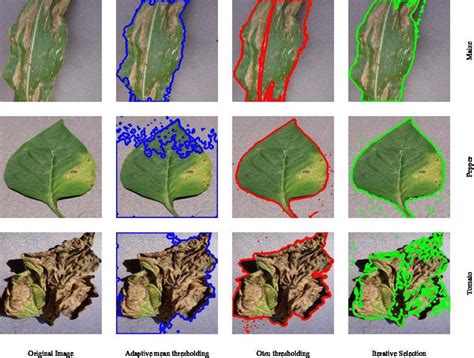 Segmentation Of Leaf By Is Adaptive Mean And Otsus Method See Online Download Scientific