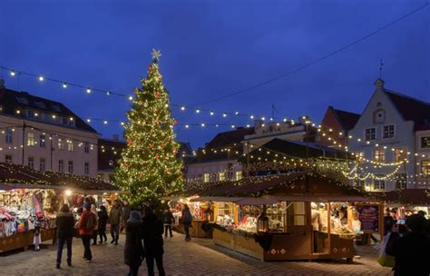 String Lite®qf 20 E14 Sockets 10m Without Bulbs Black Cable 230v