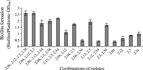 Biofilm Formed By The Four Epiphytic Isolates 204 Microbacterium
