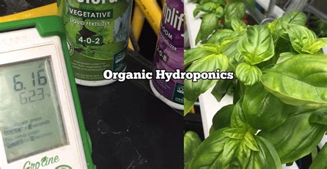 Organic Hydroponics Grozine