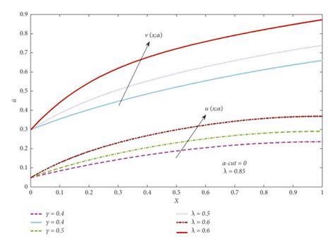 Fuzzy Velocity Profiles For The Influence Of γ Download Scientific