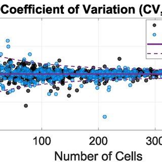 Flowchart CNN Edge Detects The Cell Edges From The Specular Image Download Scientific Diagram