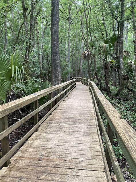 Jimmy Kinggingy Onlyfans Account Best Kinggingy Photos And Videos