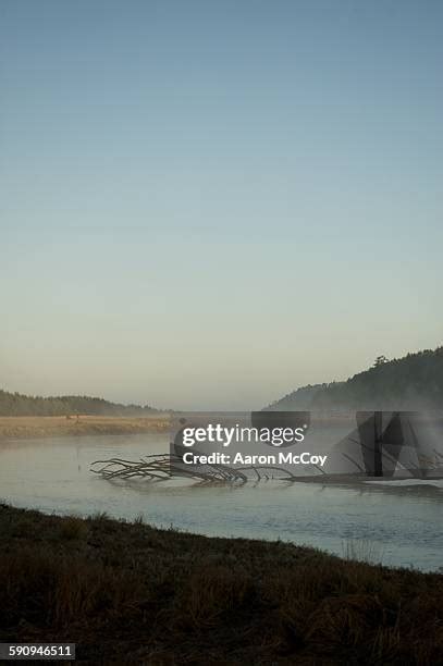 Copalis Beach Photos And Premium High Res Pictures Getty Images