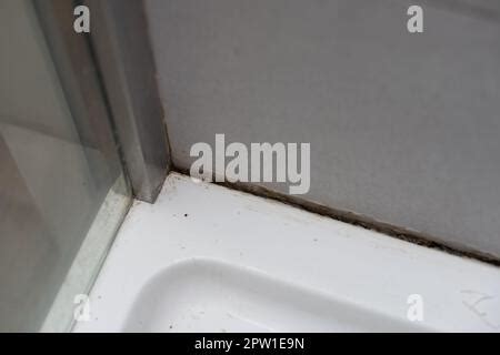 The Mold In The Shower Cabin Corner Removing The Old Silicone From The